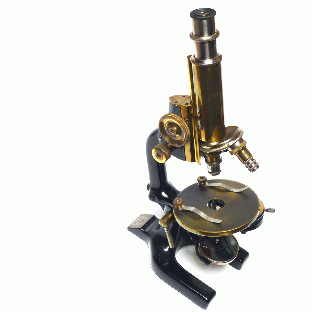 Krauss Microscope 2 têtes - Autrefois la Photo